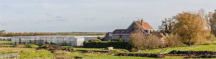 Een les(je) ‘omgaan met teleurstellingen’ – Mamma Liefde