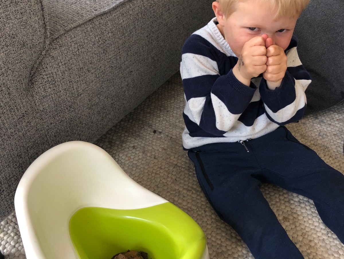 Ontroerd door een hoopje poep – Mamma Liefde